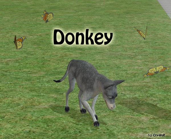 Mod The Sims - It's a DONKEY!