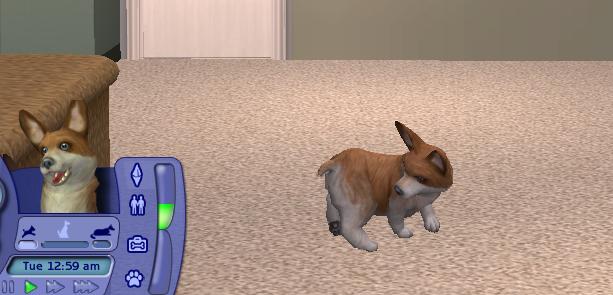 Mod The Sims - Welsh Corgi Pembroke