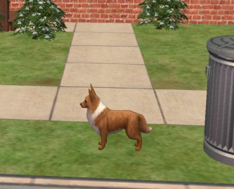 Mod The Sims - Pokemon Eevee