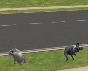 Mod The Sims - Pokemon Eevee