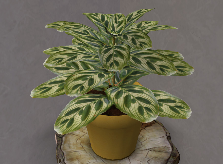 Mod The Sims - LeafaliciousPlantus (New Plant Mesh)