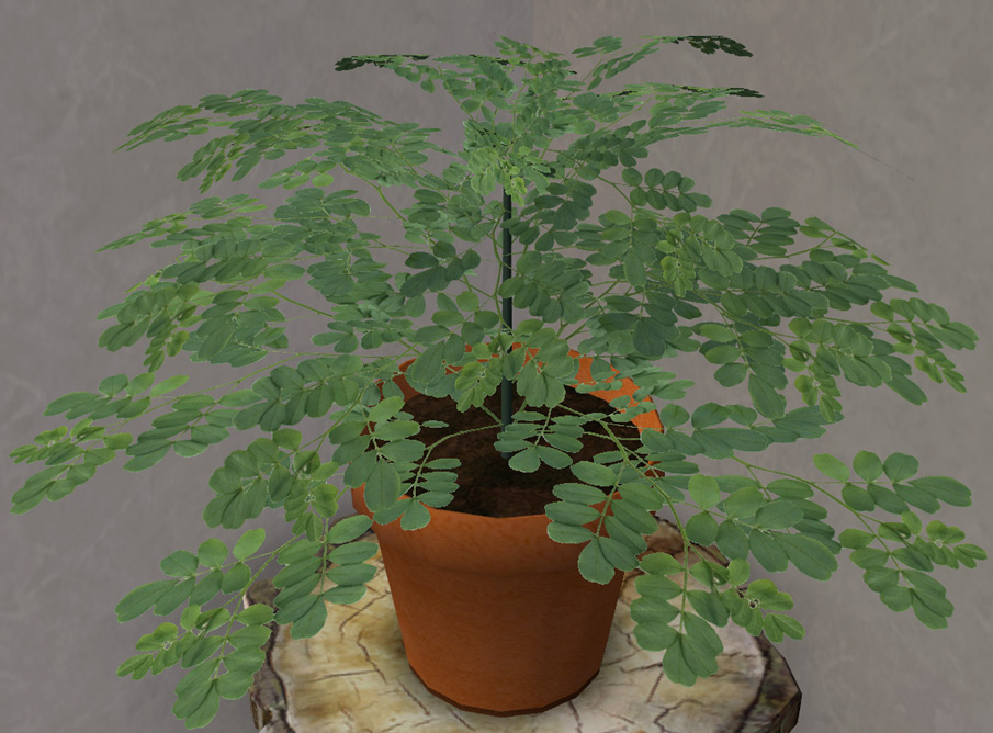 Mod The Sims - LeafaliciousPlantus (New Plant Mesh)
