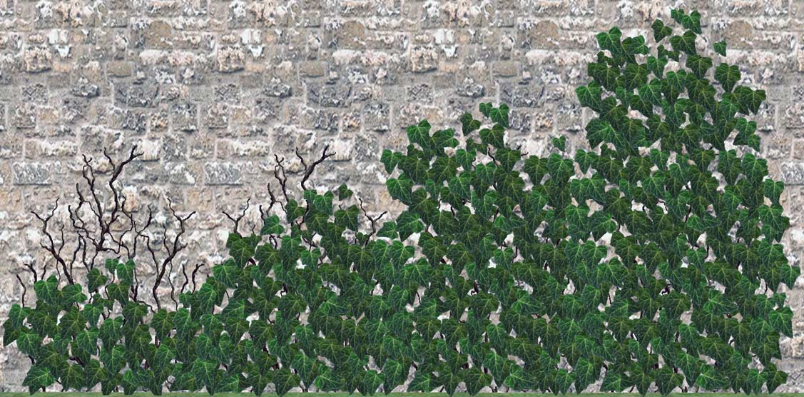 Mod The Sims - Creeping Ivy (TS3>TS2 Conversion)