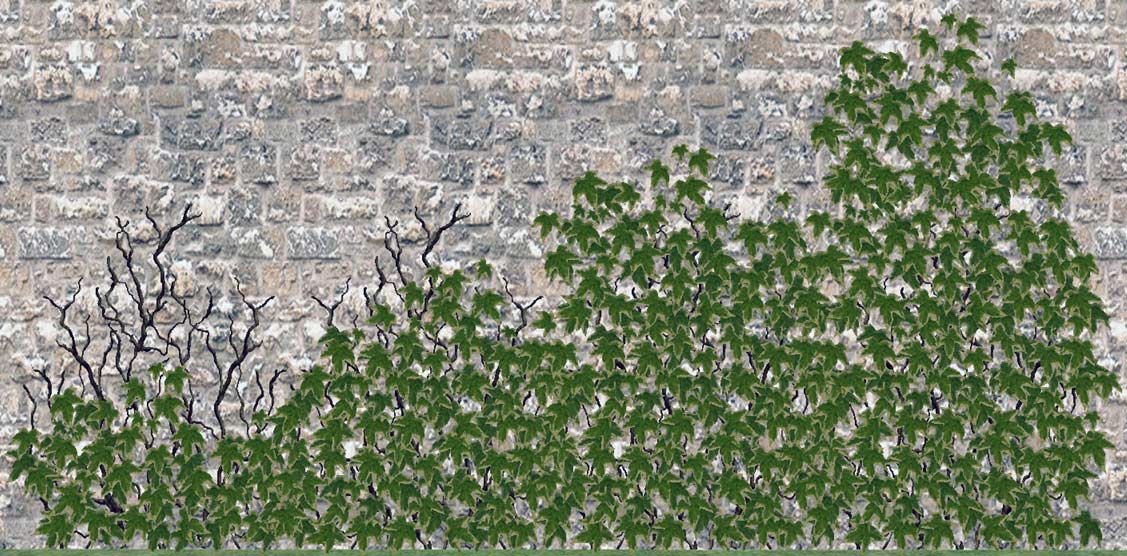 Mod The Sims - Creeping Ivy (TS3>TS2 Conversion)