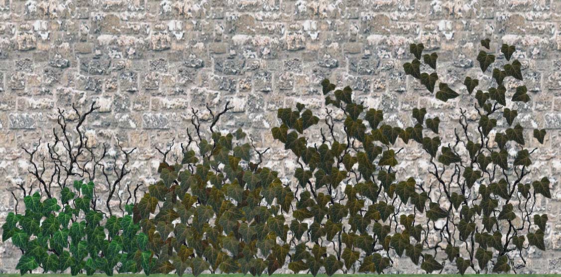 Mod The Sims - Creeping Ivy (TS3>TS2 Conversion)