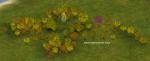 Mod The Sims - Neighbhorhood Tree Default Replacements