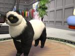 Mod The Sims - Panda Cat