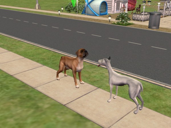 Mod The Sims - Natural ear Boxer in Fawn coloration