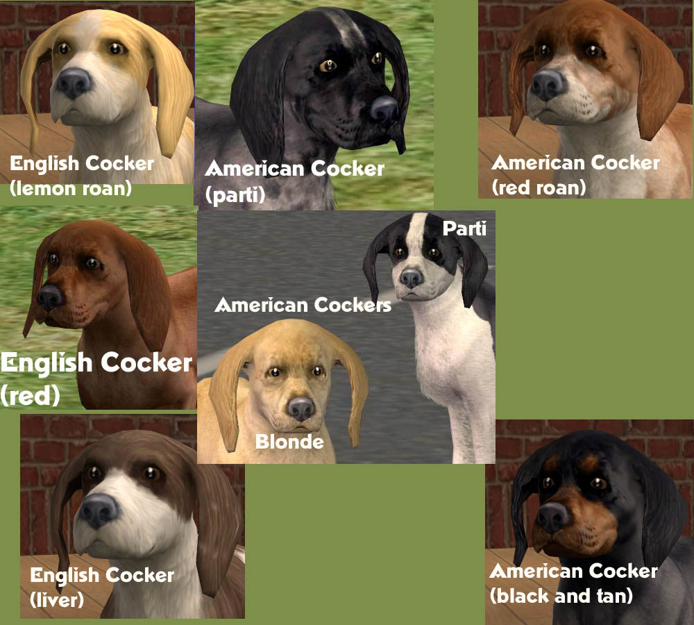 Mod The Sims - Cocker Spaniels (more colours added)