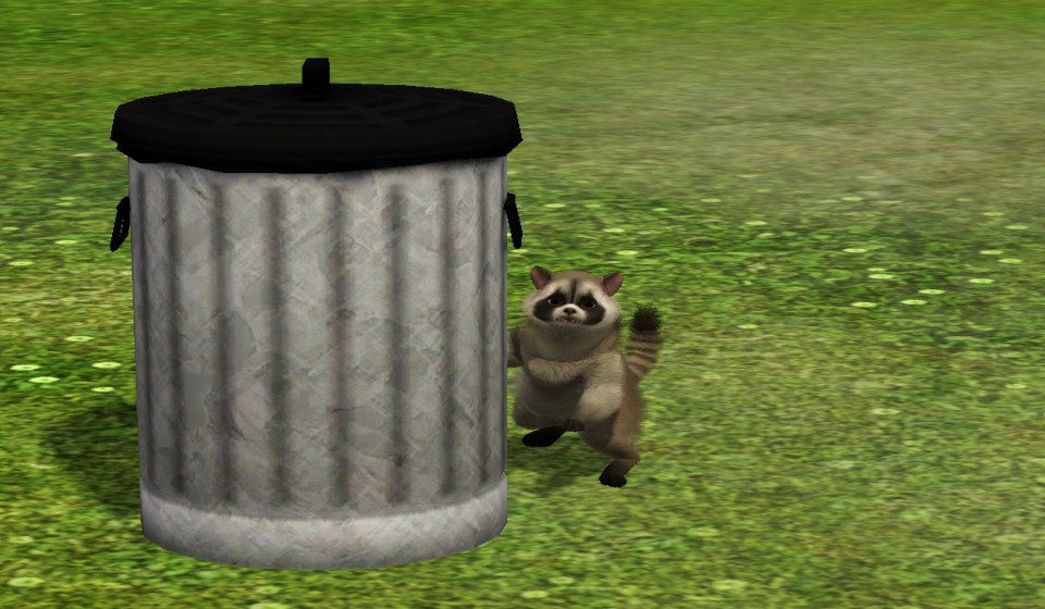 Mod The Sims - Now you can have a Raccoon for a pet!