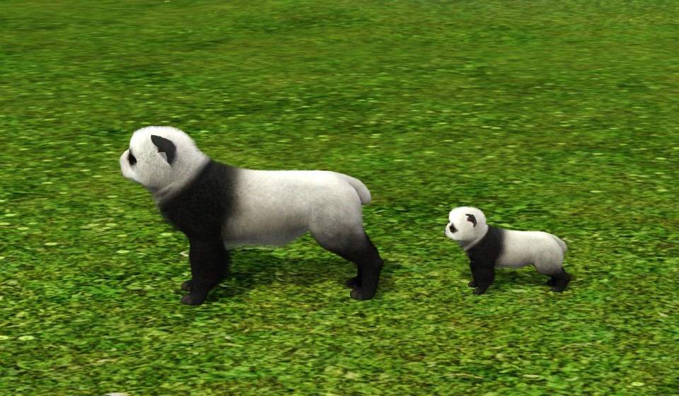 Mod The Sims - Panda Bears, big and small