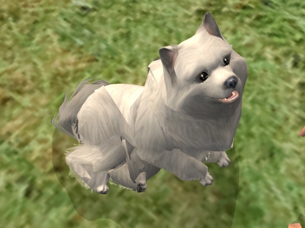 Mod The Sims - Toy American Eskimo Dog