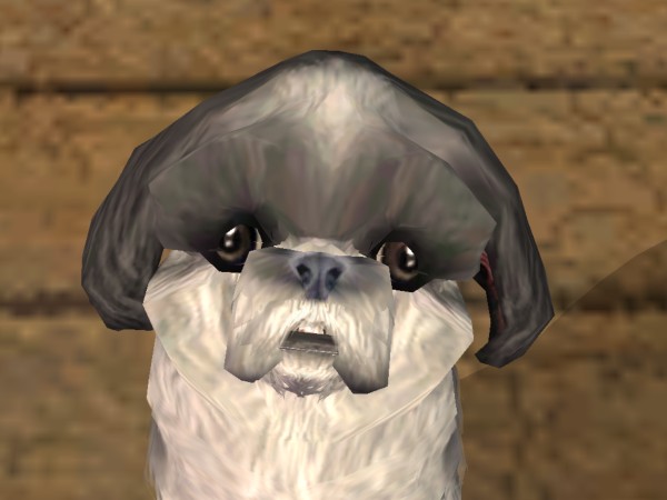 Mod The Sims - Shih Tzu
