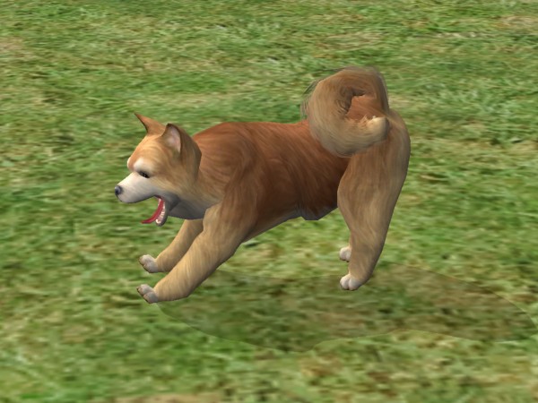 Mod The Sims - Shiba Inu (requested)