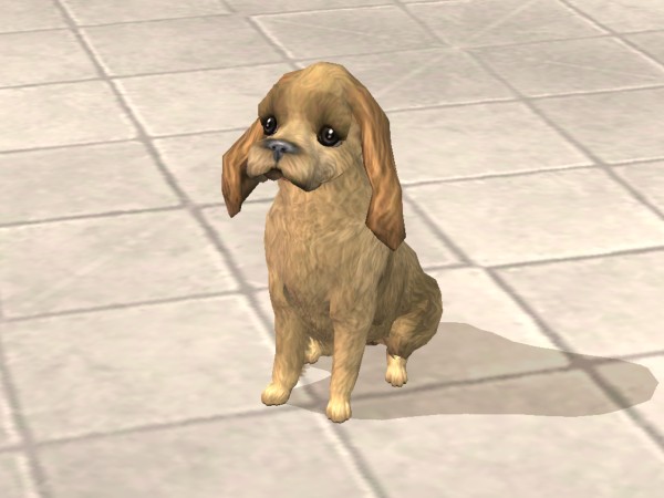 Mod The Sims - Cocker Spaniel (requested)