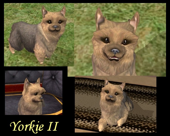 Mod The Sims - Terriers take 2!