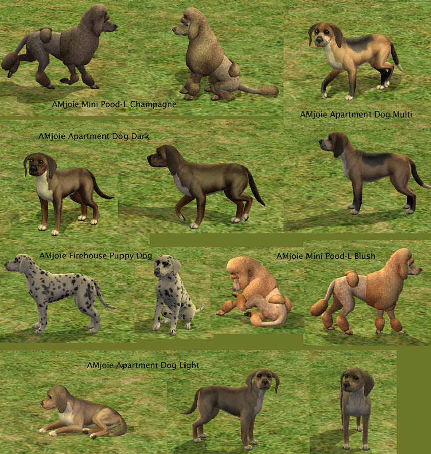 Mod The Sims - AMjoie Dog Breeds: Part One -- Small Dogs (More Than Two ...