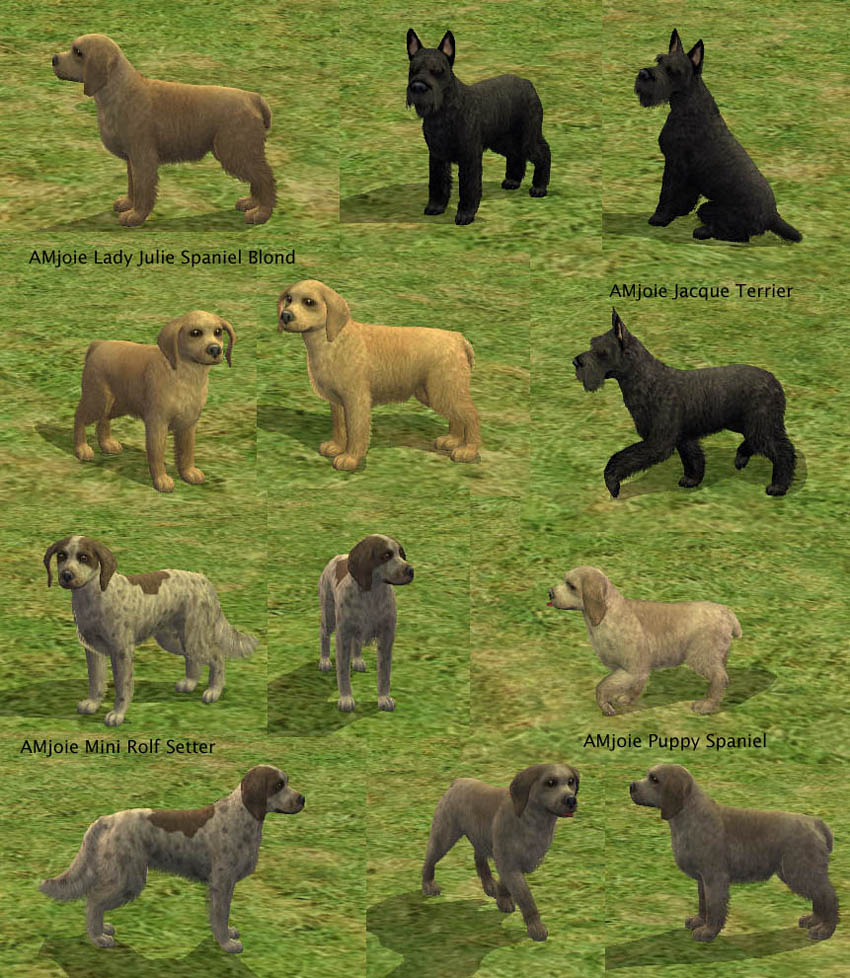 Mod The Sims - AMjoie Dog Breeds: Part One -- Small Dogs (More Than Two ...