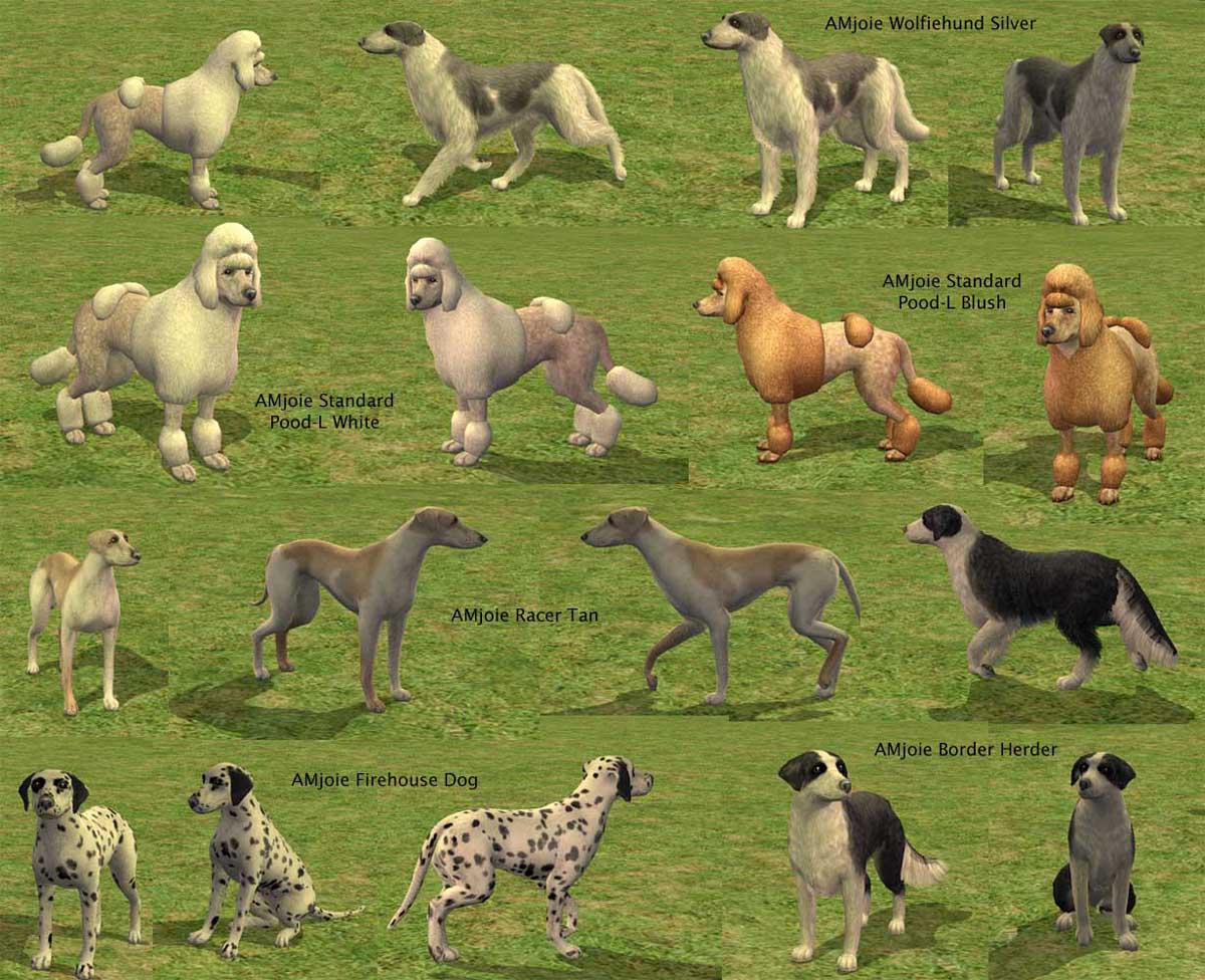 Mod The Sims - AMjoie Dog Breeds: Part Two -- Large Dogs (Two Dozen)
