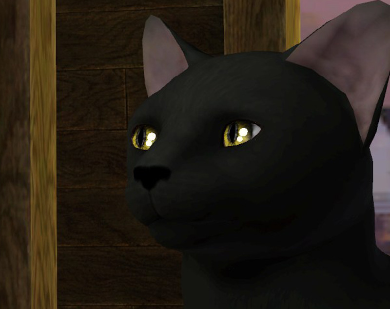 Mod The Sims - Inscrutable Eyes for Cats(Default)