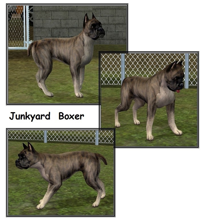 Mod The Sims - 4 Junkyard Dogs