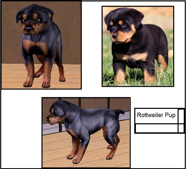 Mod The Sims - 3 Chubby Pups