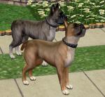 Mod The Sims - 2 Flashy Boxers