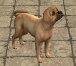 Mod The Sims - Puggle Take 2