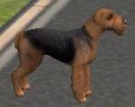 Mod The Sims - Welsh Terrier