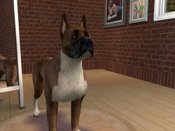 Mod The Sims - Boxalicious Boxers