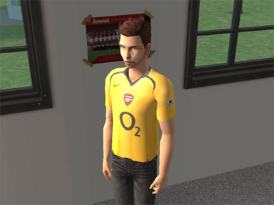 Mod The Sims - Arsenal (english soccer team) Away Shirt 2005/06