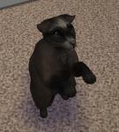 Mod The Sims - Roscoe the... um... Ferret!