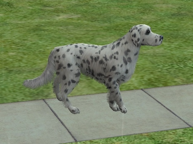 Mod The Sims - English Setters