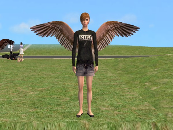 maximum ride max wings