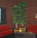 Mod The Sims - Bigger Ficus For 2 story Rooms
