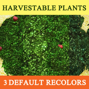Mod The Sims - 3 Recolors of Harvestable Plants