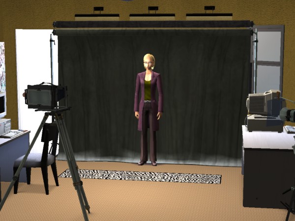 Mod The Sims - "just another day in the office" CAS! screen