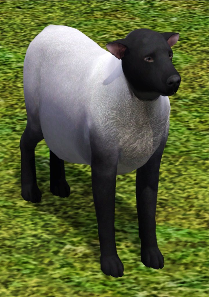 Mod The Sims - Sheep for your Sims! (Sort of...)