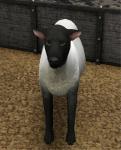 Mod The Sims - Sheep for your Sims! (Sort of...)
