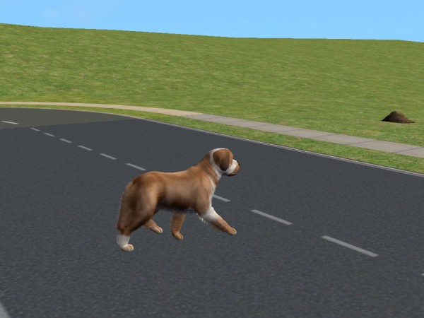 Mod The Sims - Better Saint Bernard
