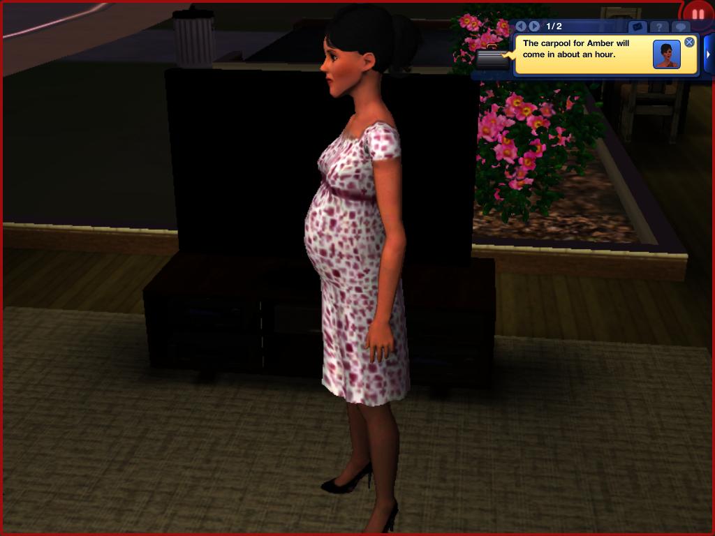 Mod The Sims - Pregnancy Tweaks (UPDATED:Testers Wanted)