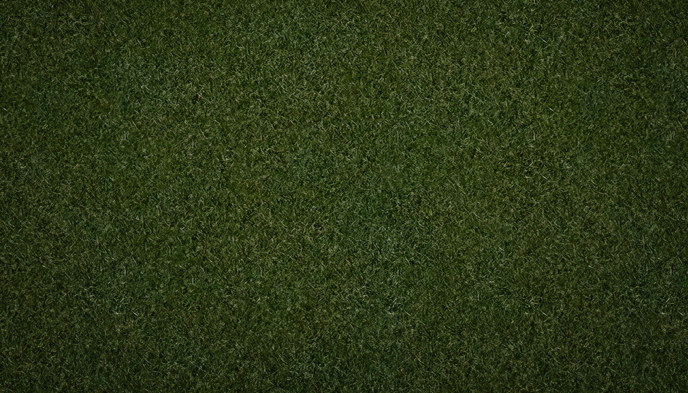 Mod The Sims - k-505 Terrain Mod - Base Game + Seasons ONLY - 2024 ...