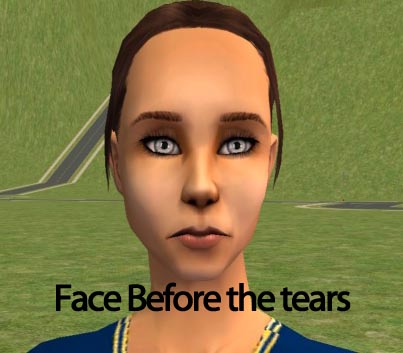 sims 4 crying cc