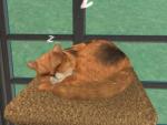 Mod The Sims - Garfield