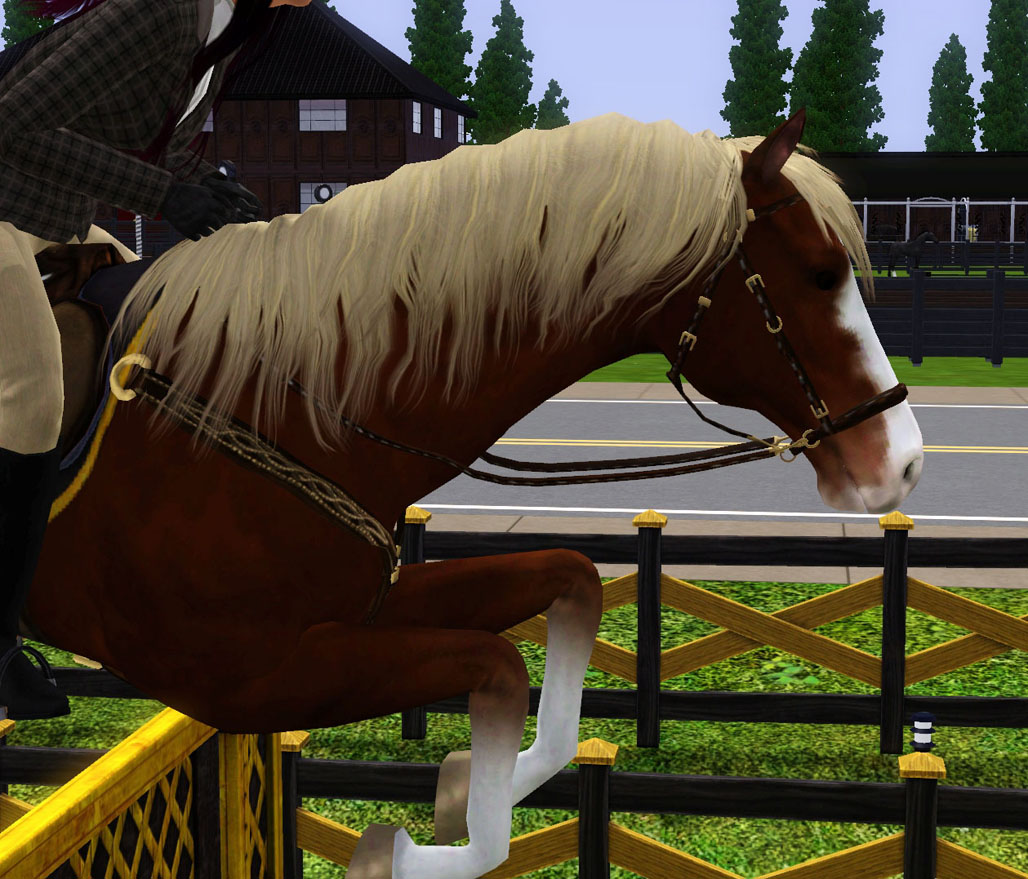 Mod The Sims - New Bridle and Breast Collar