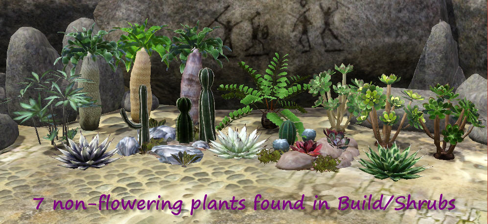 Mod The Sims - Finally! Desert Plants for TS3! - Macarossi's Desert ...
