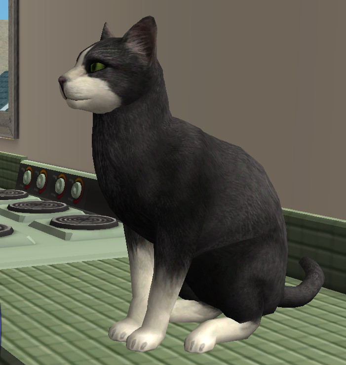 cat sims tattle
