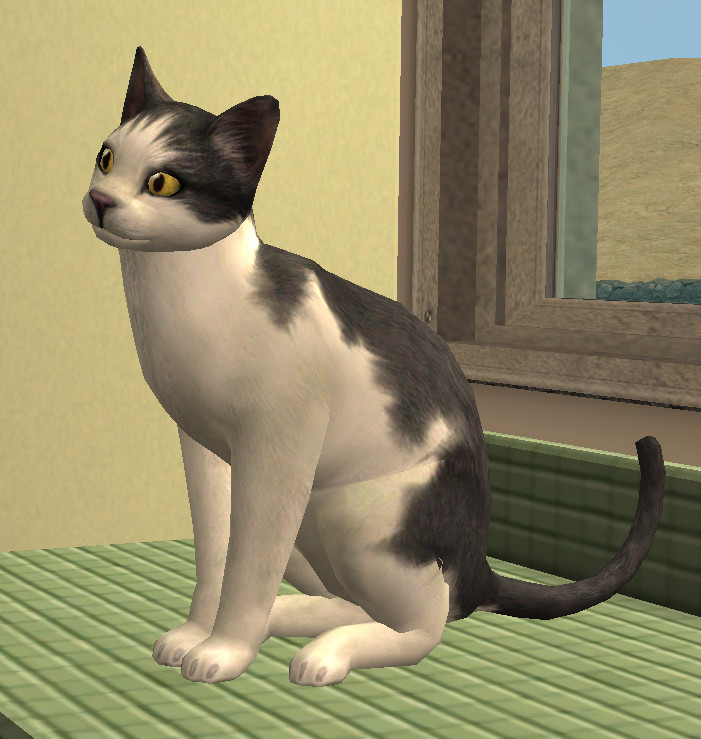cat sims tattle