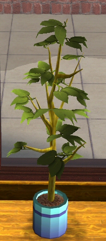 Mod The Sims - Testers Wanted: Potted Indoor (or outdoor) Tree