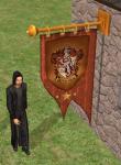 Mod The Sims - NEW Flagpole and (any shape) Flag